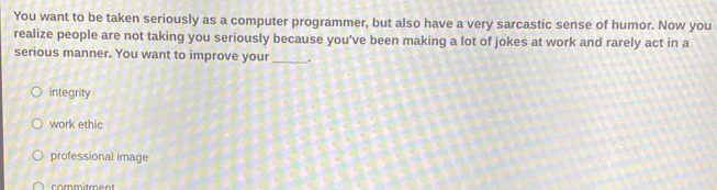 Solved: You want to be taken seriously as a computer programmer, but ...