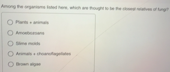 Solved: Among the organisms listed here, which are thought to be the ...